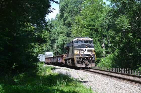 NS Maintenance of Way Train – B-Line Railfan