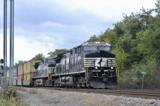 NS Train 289 Passing Woods – B-Line Railfan
